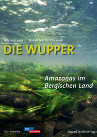 Paul Rabiger | Composer